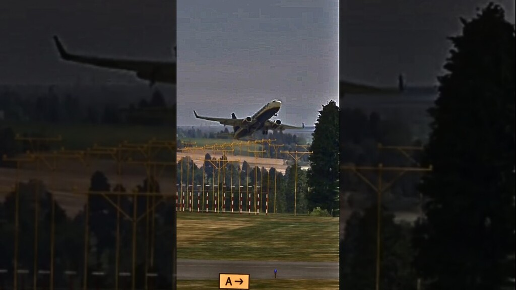 Plane ️ Caught in TERRIFYING Crosswind - Flight Sims - Mudspike Forums