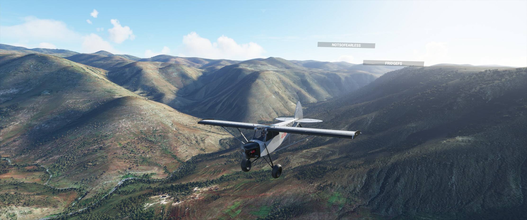 MSFS - Multiplayer Information - Microsoft Flight Simulator - Mudspike ...